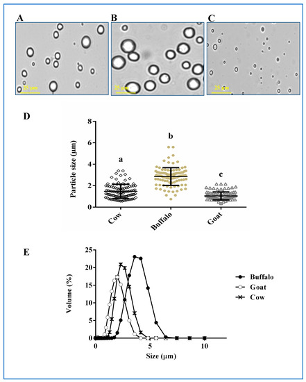 Characterization of Cow, Goat, and Water Buffalo Milk Fat Globule ...