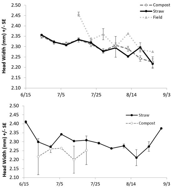 Production of Stable Flies (Stomoxys calcitrans) from Sawdust Compost ...