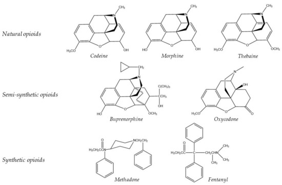 Angiogenesis under Opioids Preconditioning in Renal Ischemia Reperfusion