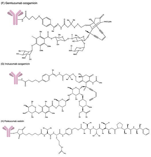 How Far Have We Developed Antibody–Drug Conjugate for the Treatment of ...