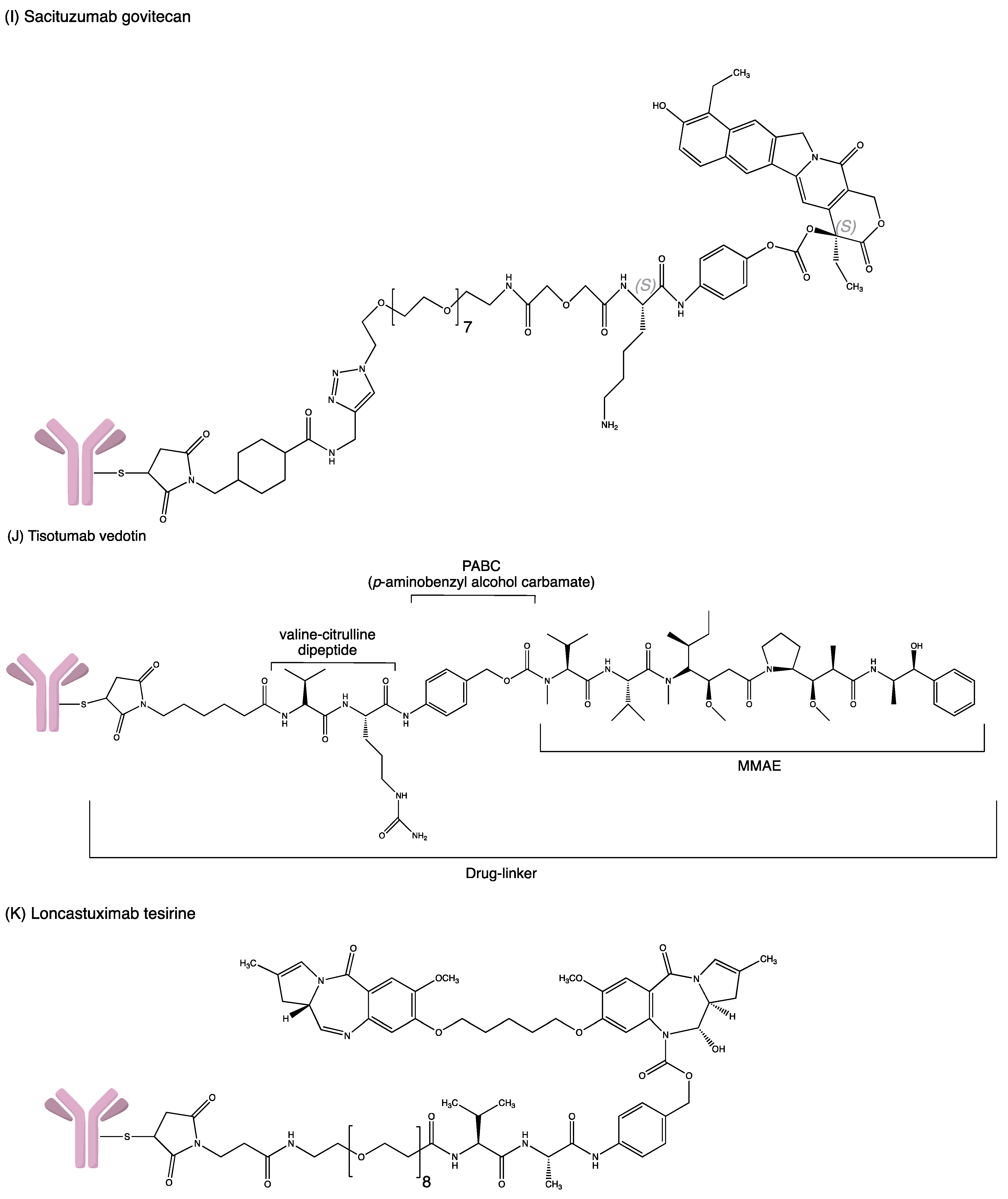 How Far Have We Developed Antibody–Drug Conjugate for the Treatment of ...