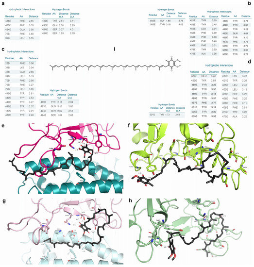 Effect of the N501Y Mutation on Ligands Complexed with SARS-CoV-2 RBD ...