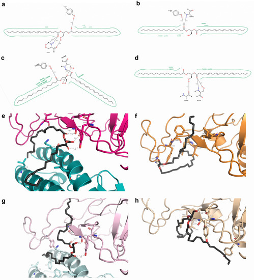 Effect of the N501Y Mutation on Ligands Complexed with SARS-CoV-2 RBD ...