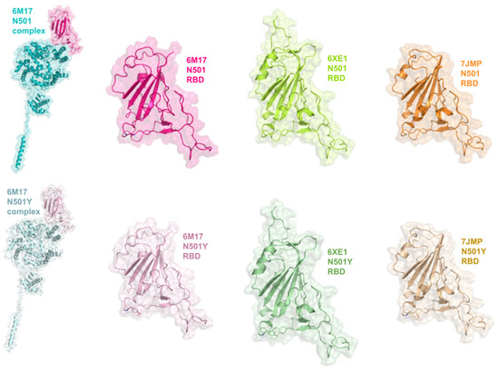 Effect of the N501Y Mutation on Ligands Complexed with SARS-CoV-2 RBD ...