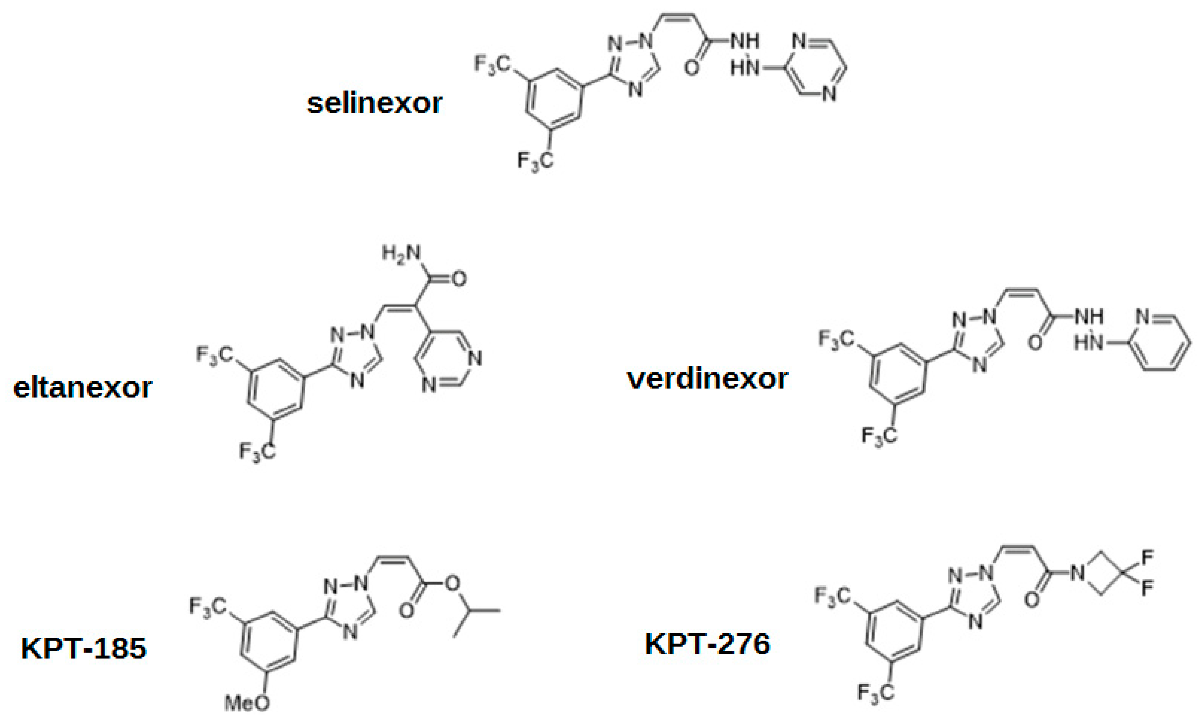 Selinexor and Other Selective Inhibitors of Nuclear Export (SINEs)—A ...