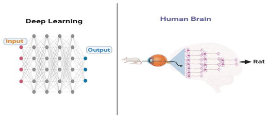 Revolutionizing Drug Discovery: A Comprehensive Review of AI Applications