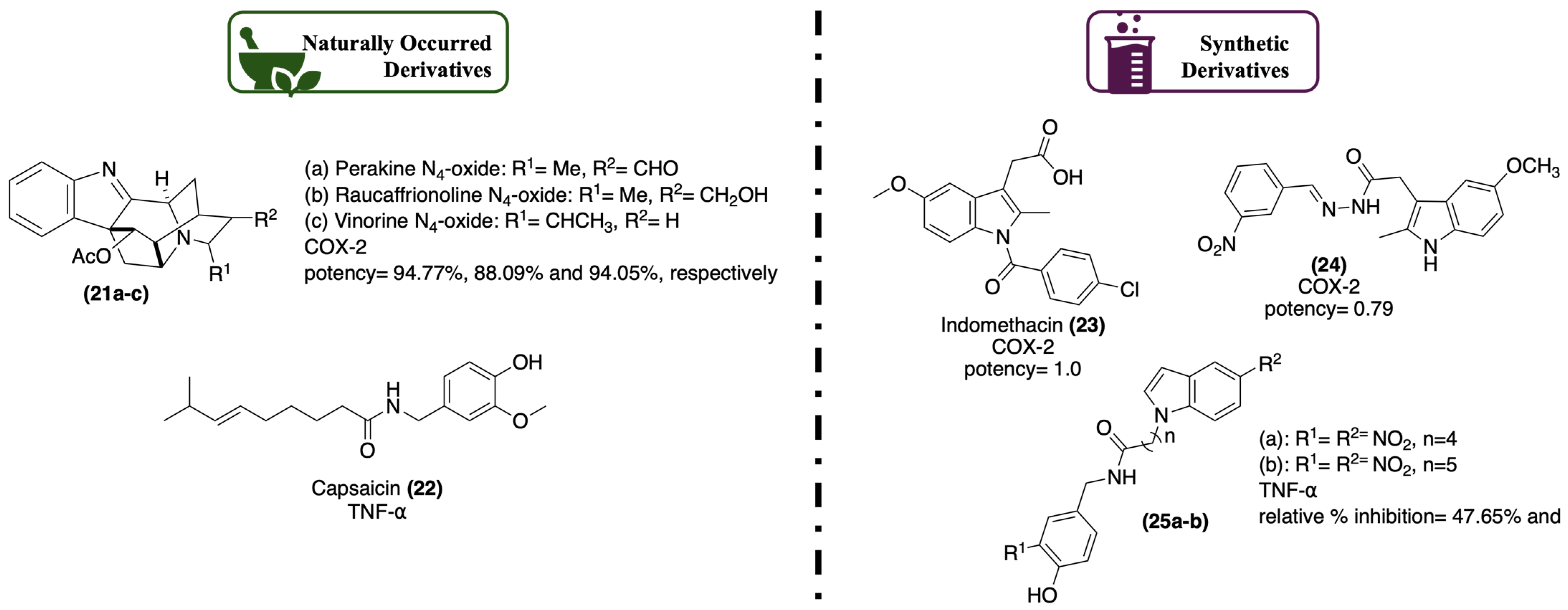 Biological Profile of Synthetic and Natural Indole Derivatives: Paving ...