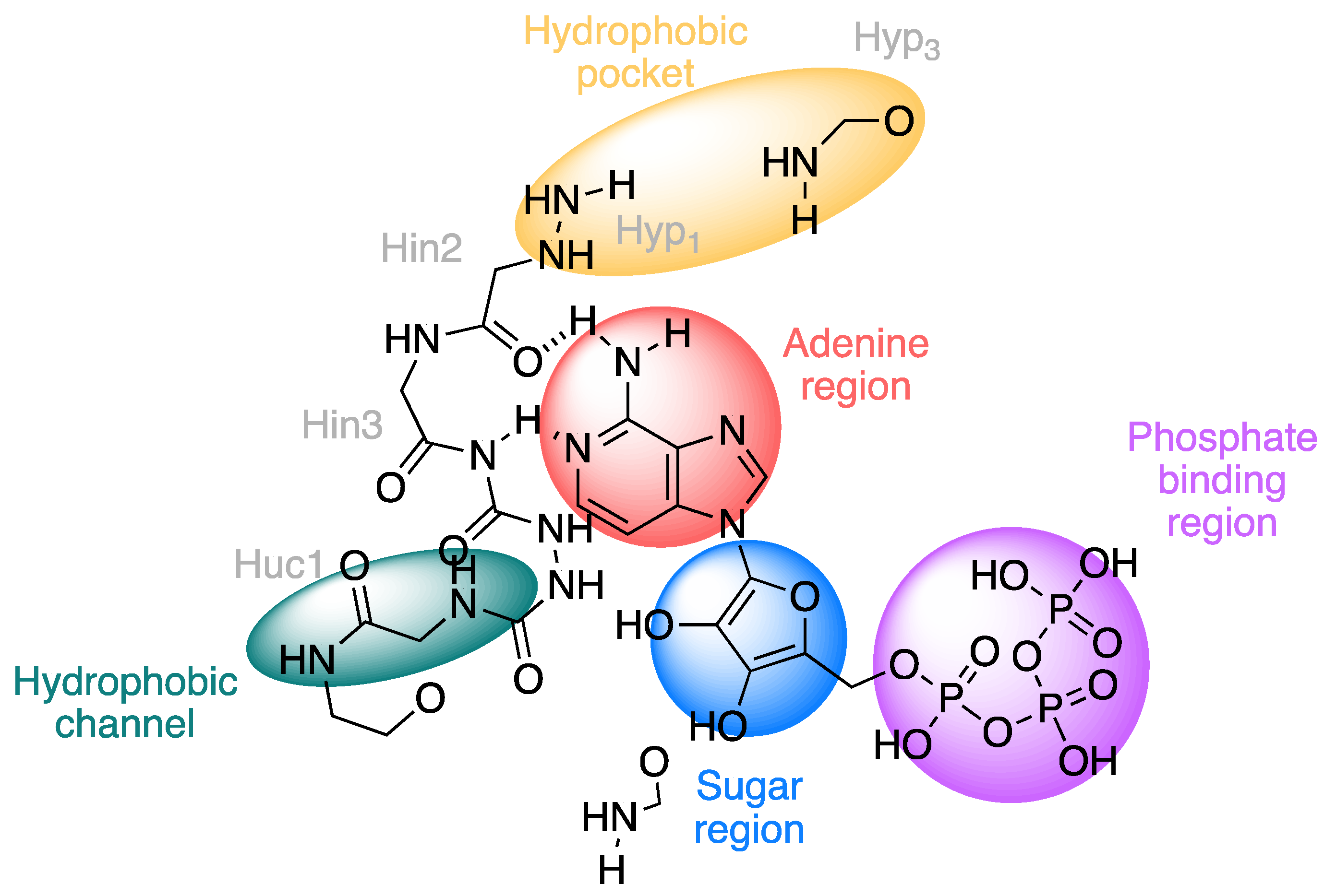 Biological Profile of Synthetic and Natural Indole Derivatives: Paving ...