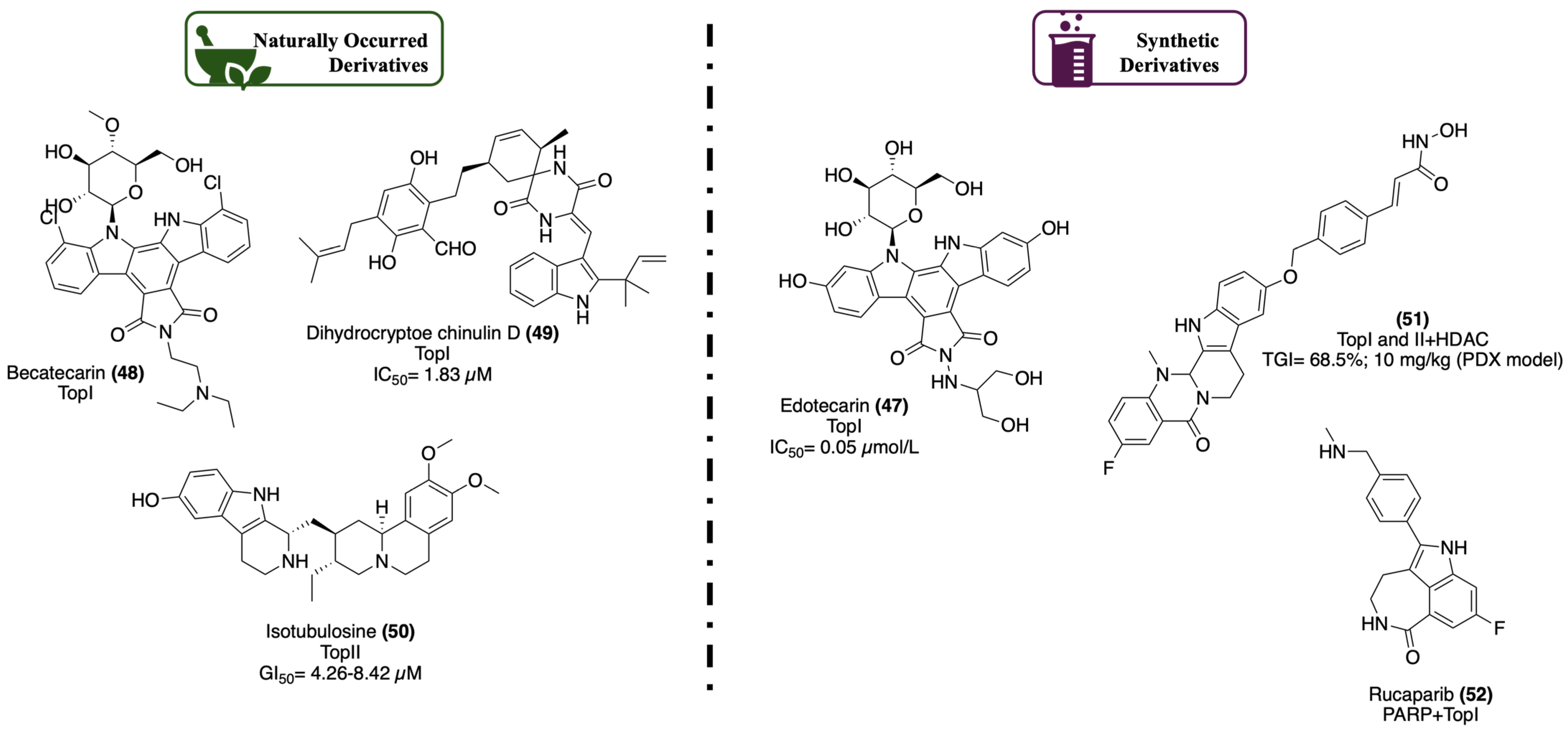 Biological Profile of Synthetic and Natural Indole Derivatives: Paving ...