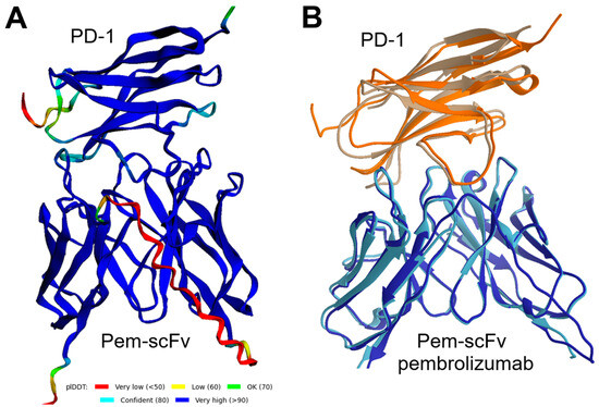 The Design and Cell-Free Protein Synthesis of a Pembrolizumab Single ...