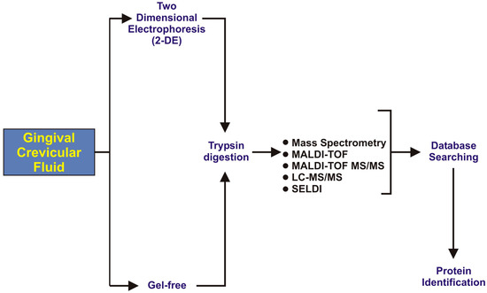 Human Gingival Crevicular Fluids (GCF) Proteomics: An Overview