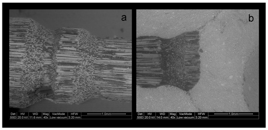 Bonding of Core Build-Up Composites with Glass Fiber-Reinforced Posts