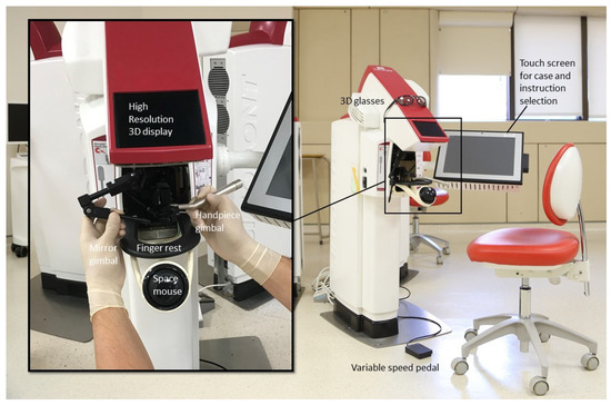 Use of Computer Simulation in Dental Training with Special Reference to ...