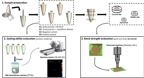 Dentistry Journal | Free Full-Text | Evaluation of the Sealing Ability ...