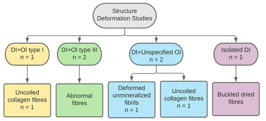 Morphological and Ultrastructural Collagen Defects: Impact and ...