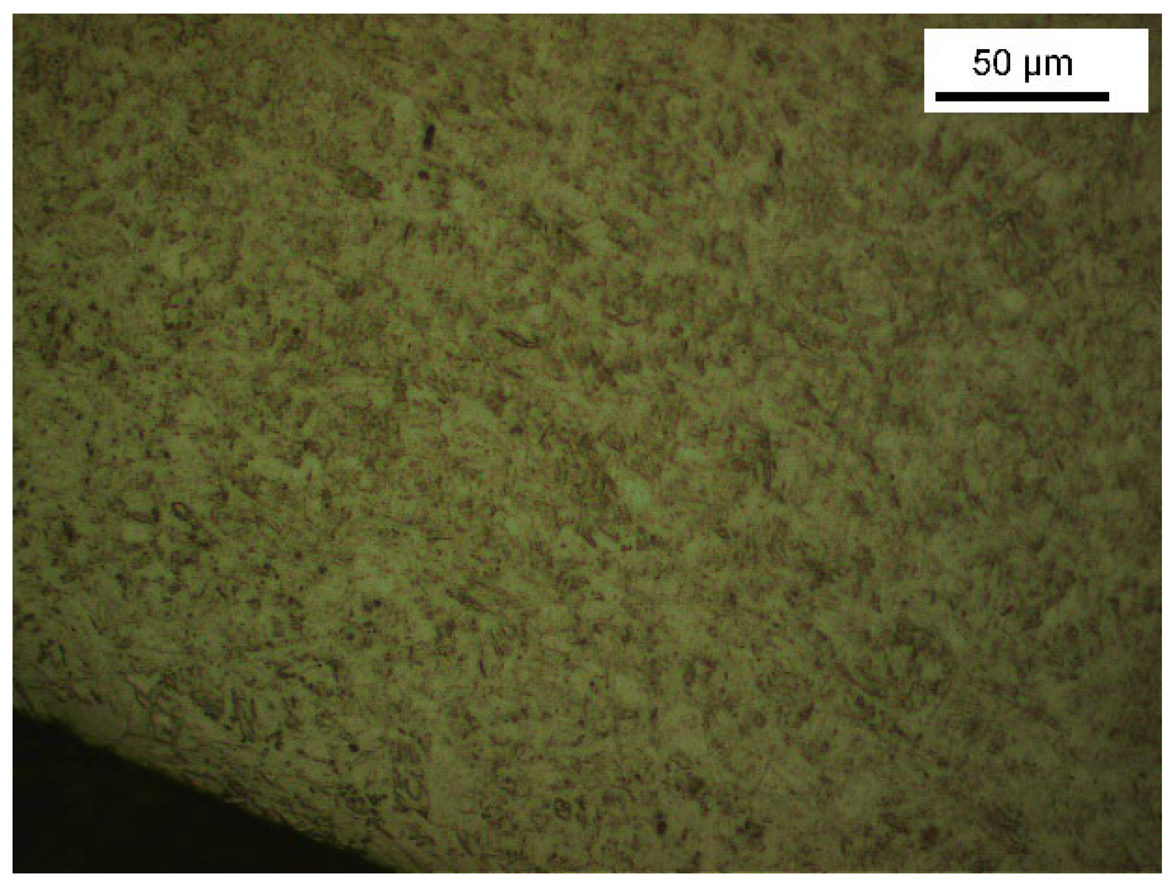 Microhardness and Chemical Composition of Different Metallic Brackets ...