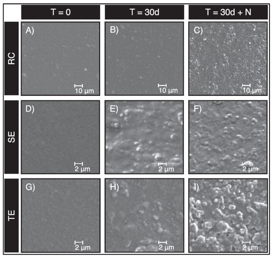 The Role of Bacterial, Dentinal, Salivary, and Neutrophil Degradative ...