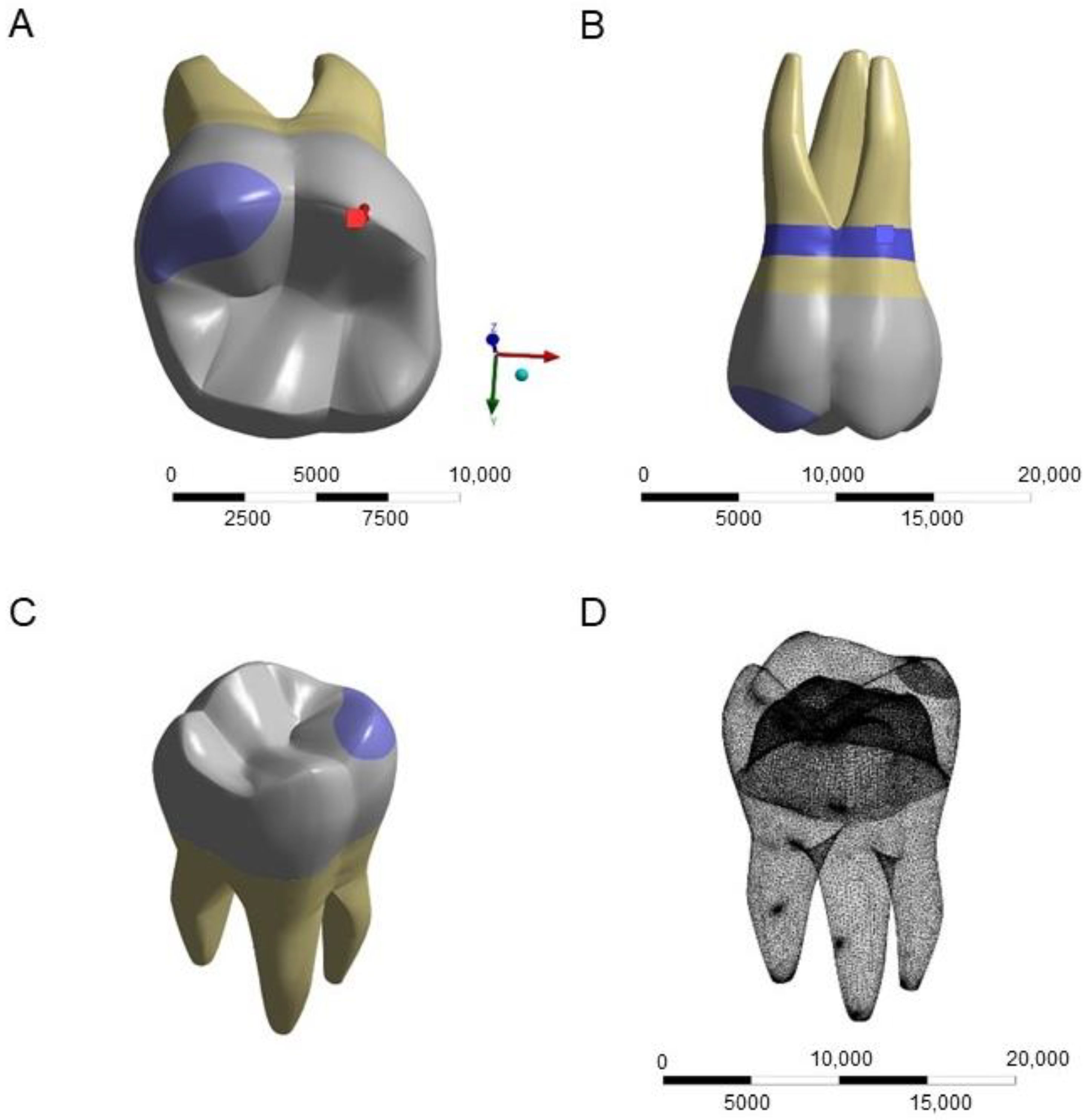 Dentistry Journal | Free Full-Text | Mechanical Behavior of Repaired ...