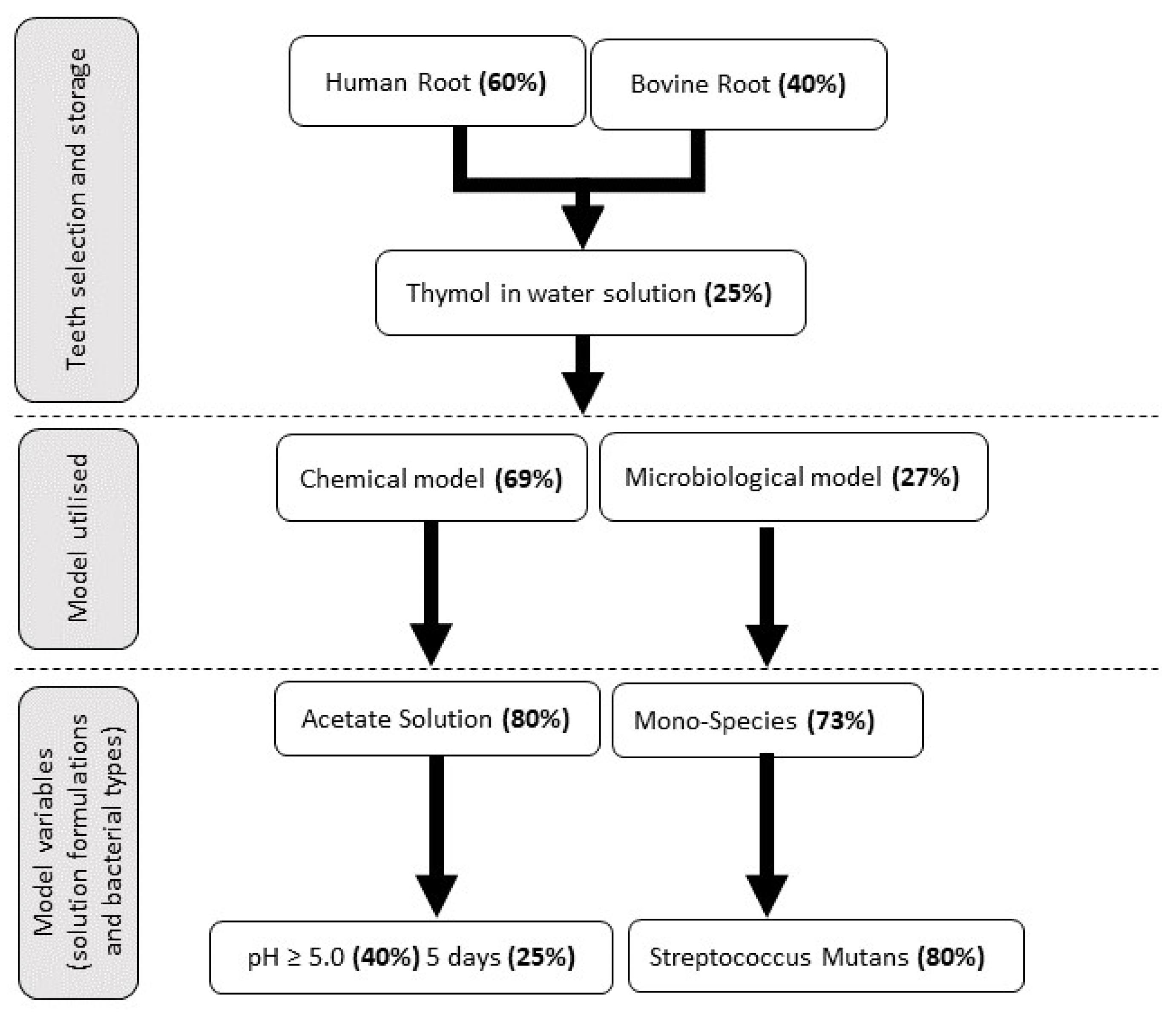 In Vitro Models Used in the Formation of Root Caries Lesions—A Review ...