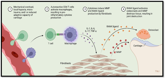 The Temporomandibular Joint and the Human Body: A New Perspective on ...