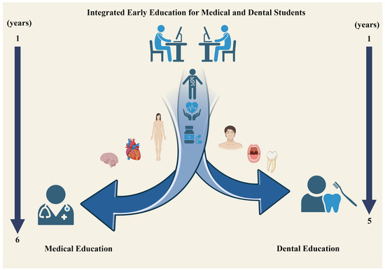 The Importance of Basic Sciences in Dental Education