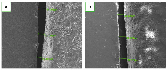 Effects of Different Crystallization Protocols on Marginal Gap of ...