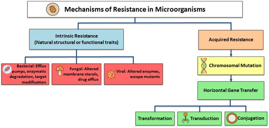 Antimicrobial Resistance in Oral Healthcare: A Growing Concern in Dentistry