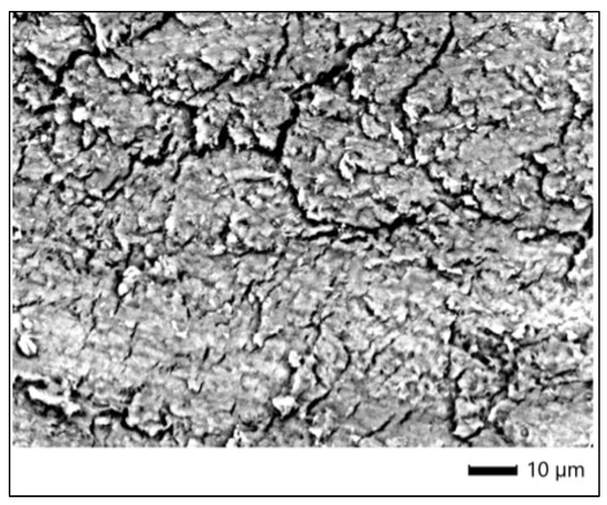 Enamel Surface and Elemental Changes Following In Vitro Bleaching: A ...