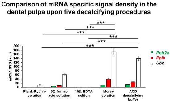 Identification of Optimal Decalcification Method and Tissue Preparation ...