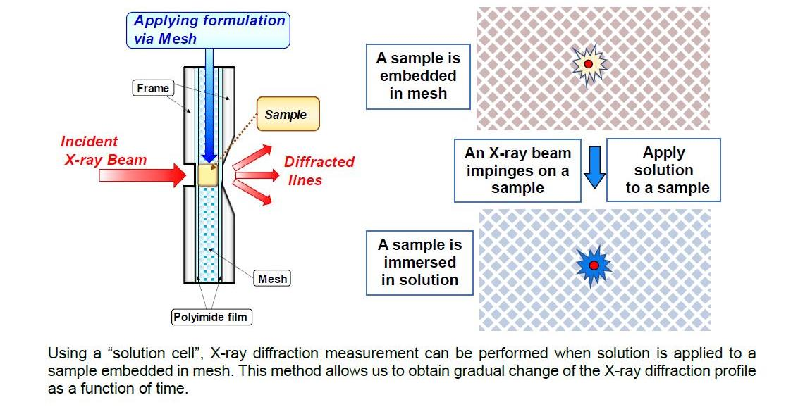 Dermato | Free Full-Text | Stratum Corneum Structure and Function Studied by X-ray Diffraction