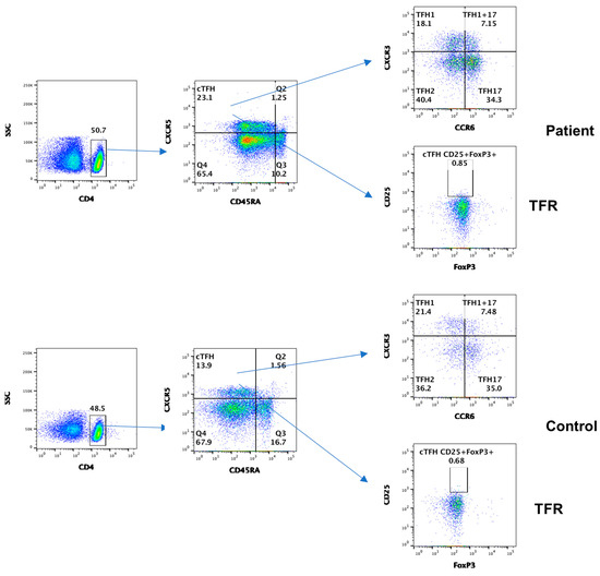 Dermatopathology | Free Full-Text | IgG4-Related Disease (IgG4-RD) with ...