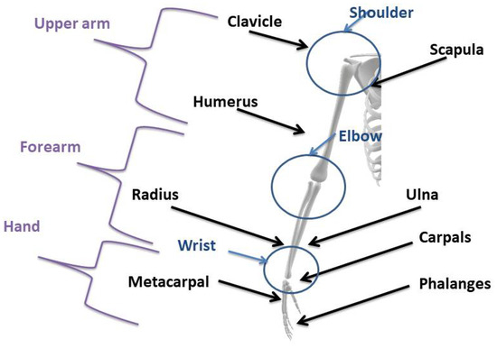 Designs | Free Full-Text | Towards the Mechatronic Development of a New Upper-Limb Exoskeleton ...