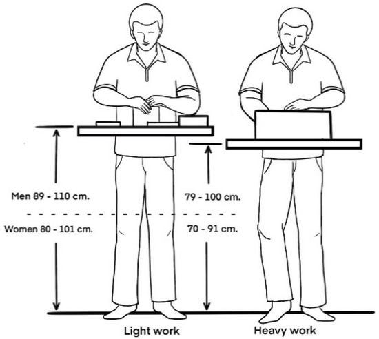 Anthropometric Measurement of Thai Older Farmers for Agricultural Tools ...