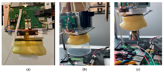 Design of a Liquid Jamming Gripper