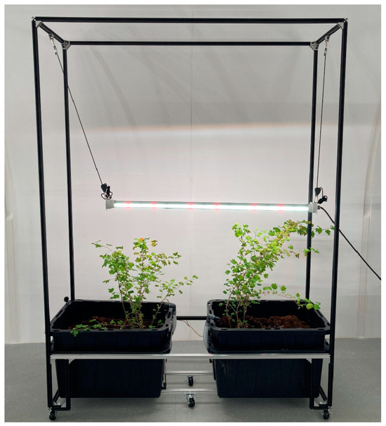 Open-Source Indoor Horizontal Grow Structure Designs