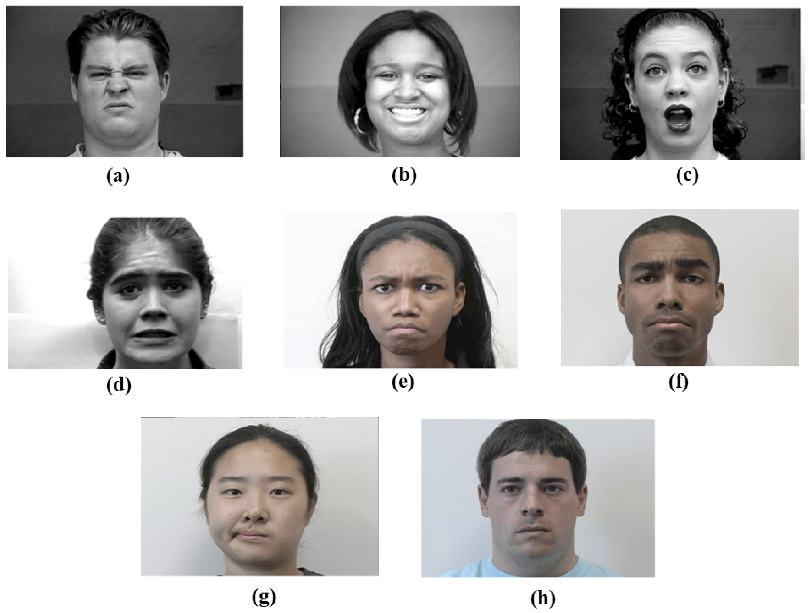 A Novel Lightweight Deep Learning Approach for Drivers’ Facial ...
