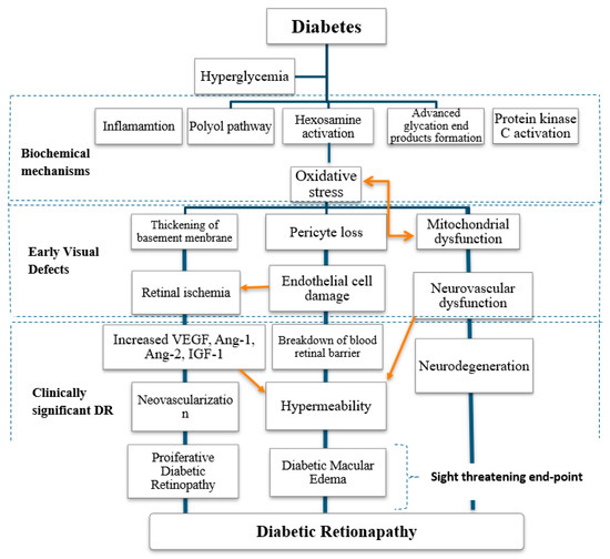 Diabetology Free Full Text Diabetic Retinopathy An Overview On