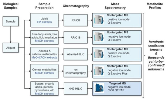 Progress in Understanding Metabolic Syndrome and Knowledge of Its ...