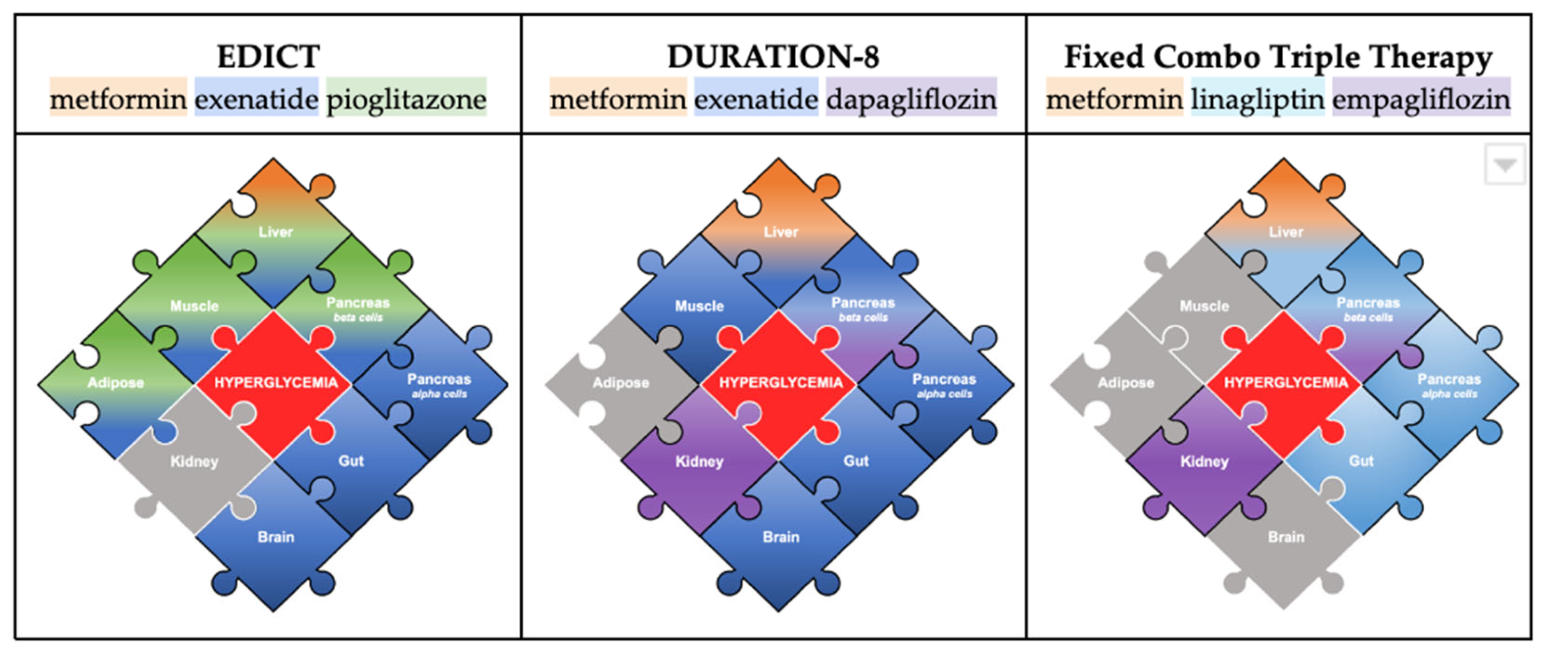 Perfecting the Puzzle of Pathophysiology: Exploring Combination Therapy ...