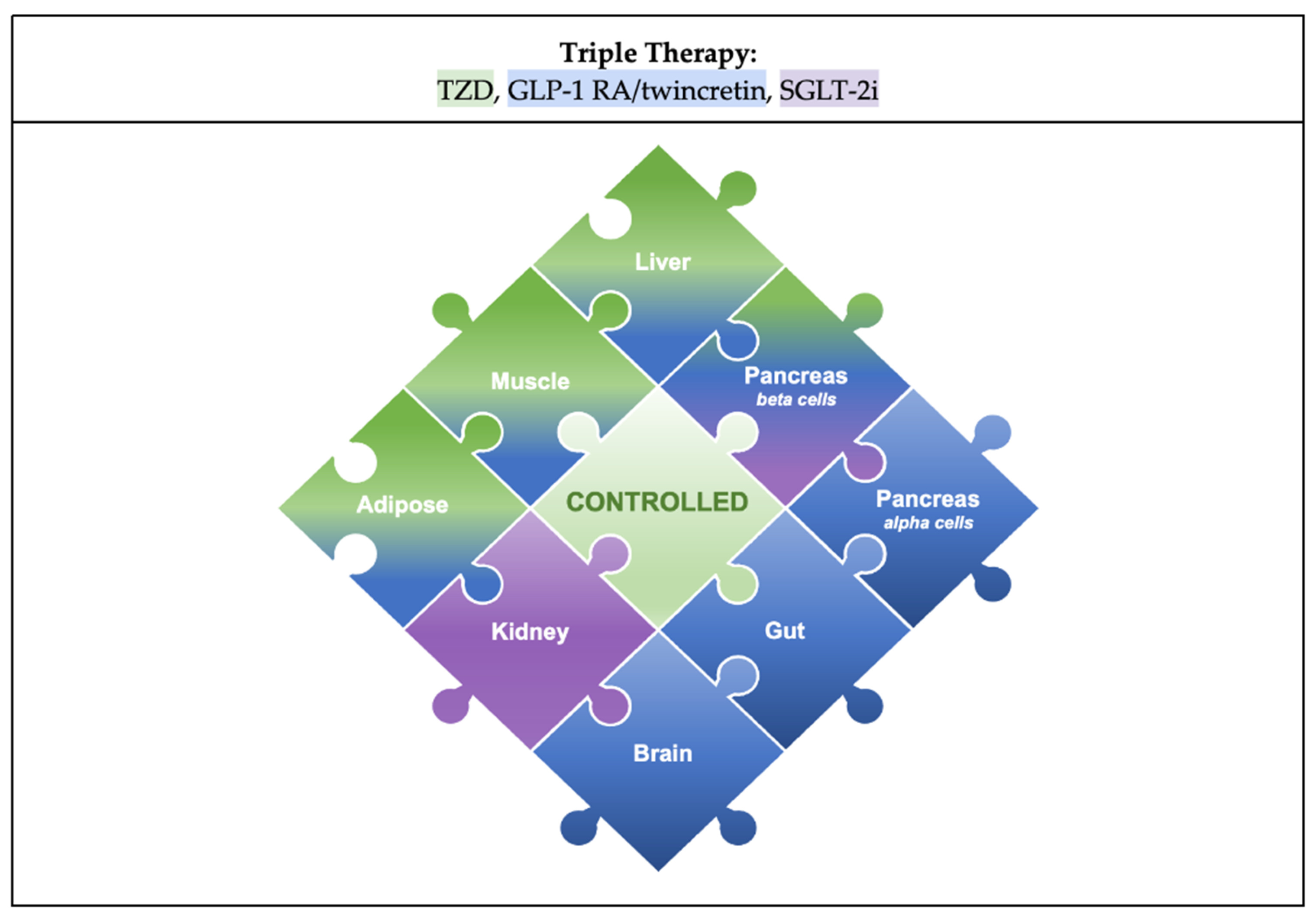 Perfecting the Puzzle of Pathophysiology: Exploring Combination Therapy ...