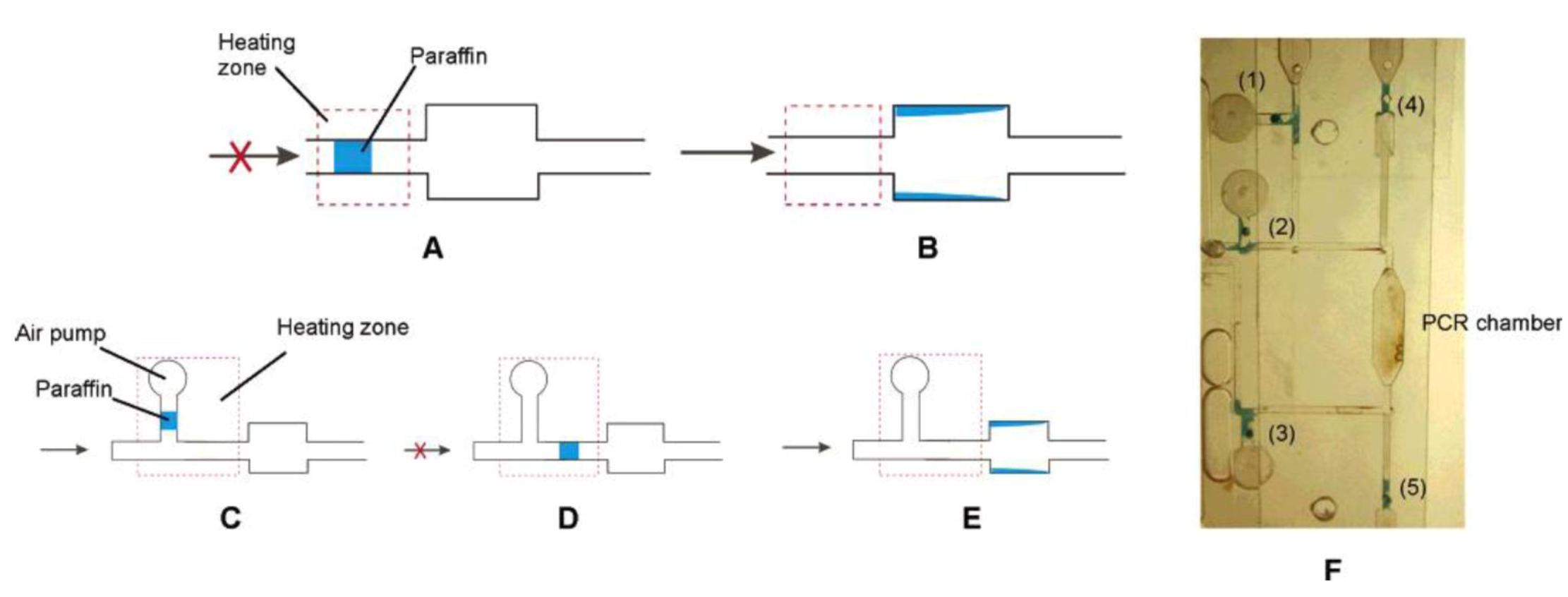 A Review of Heating and Temperature Control in Microfluidic Systems ...