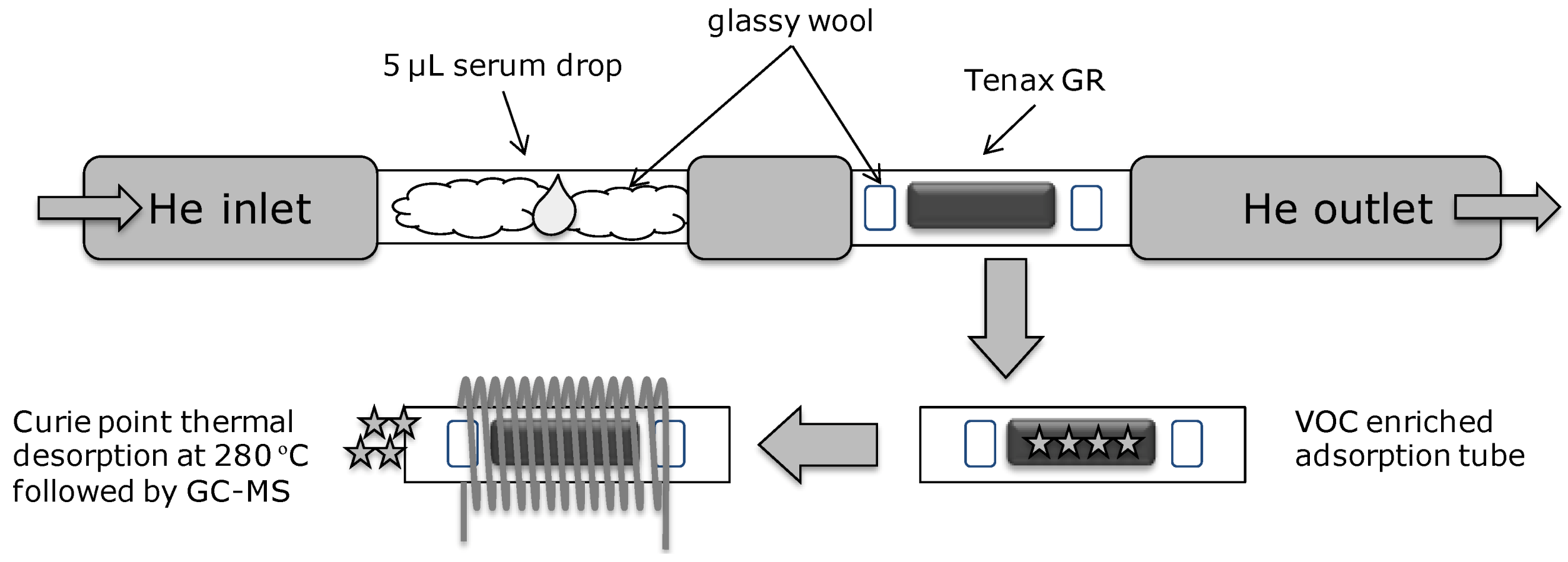 Diagnostics | Free Full-Text | TD-GC-MS Investigation of the VOCs Released from Blood Plasma of ...