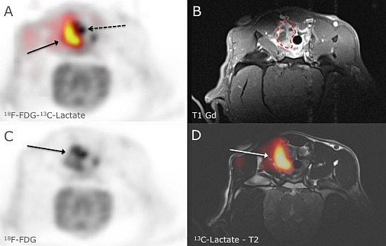 Diagnostics | Topical Collection : Hybrid Imaging in Medicine