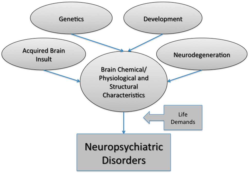 Diagnostics | Free Full-Text | Role of Hybrid Brain Imaging in ...