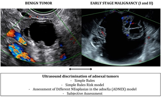 Diagnostics | Free Full-Text | Validation of the Performance of ...