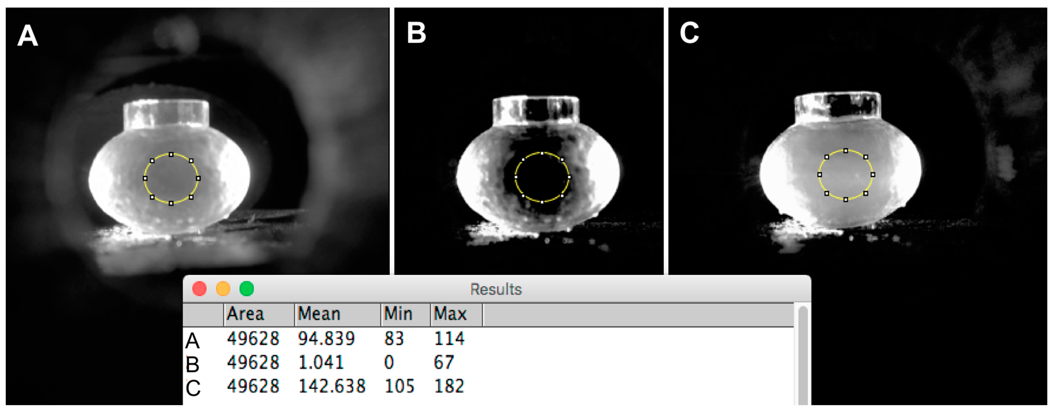 Feasibility Study of an Optical Caustic Plasmonic Light Scattering ...