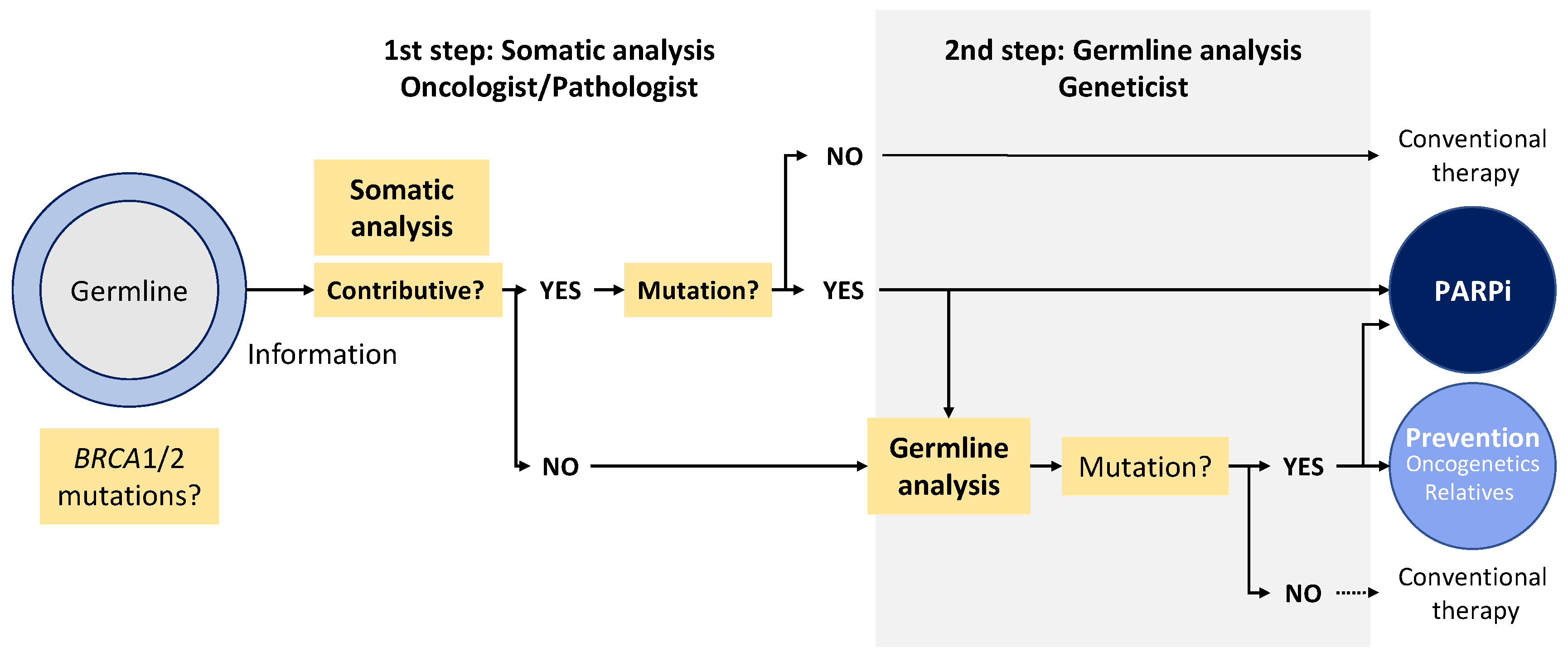 From Targeting Somatic Mutations To Finding Inherited Cancer