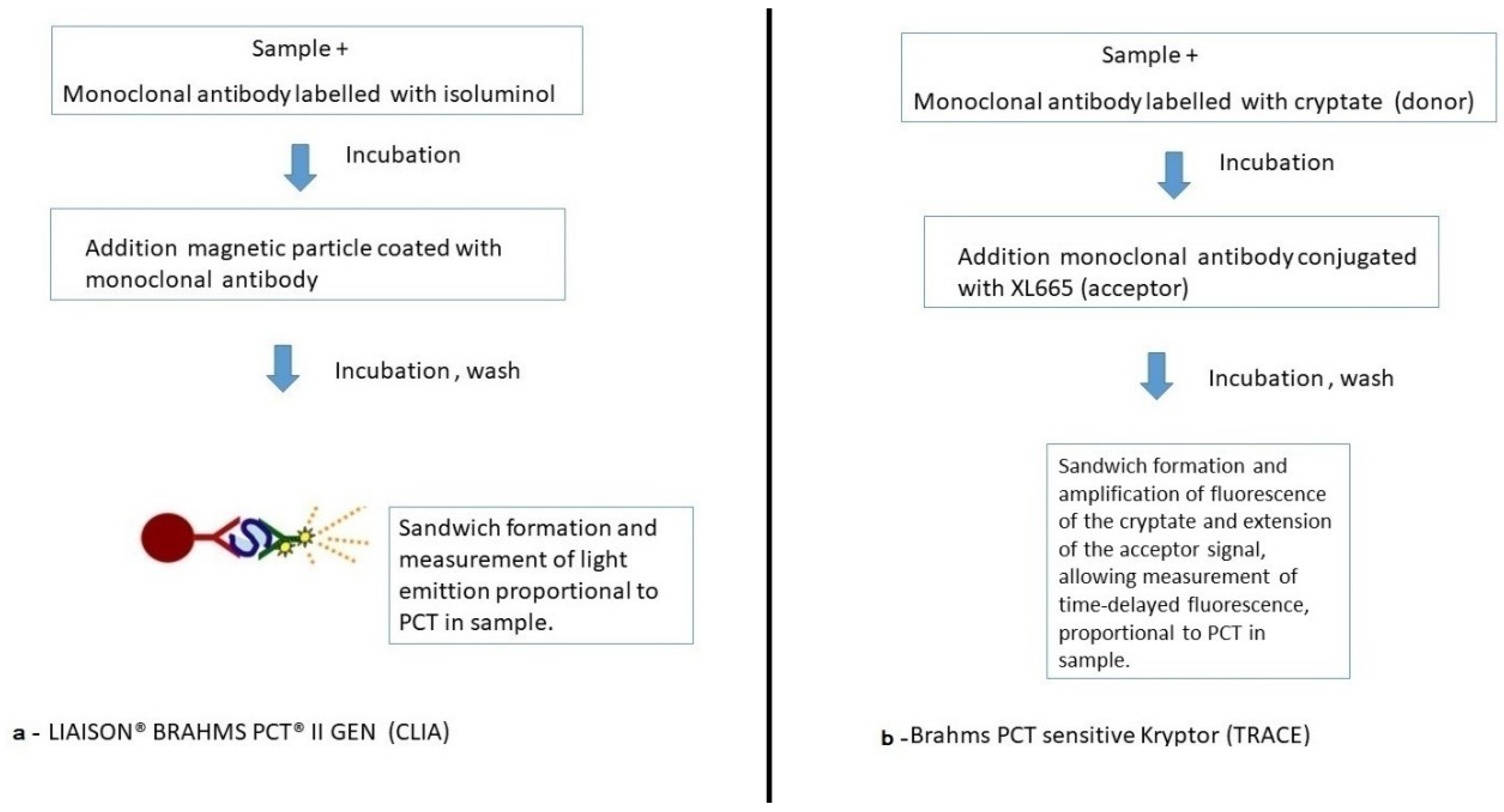Comparison of Procalcitonin Assays on KRYPTOR and LIAISON® XL Analyzers
