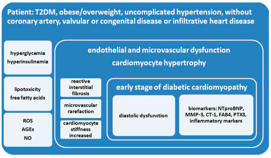 Left Ventricular Diastolic Dysfunction in Type 2 Diabetes—Progress and ...