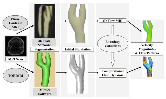 Four-Dimensional Flow Magnetic Resonance Imaging for Assessment of ...